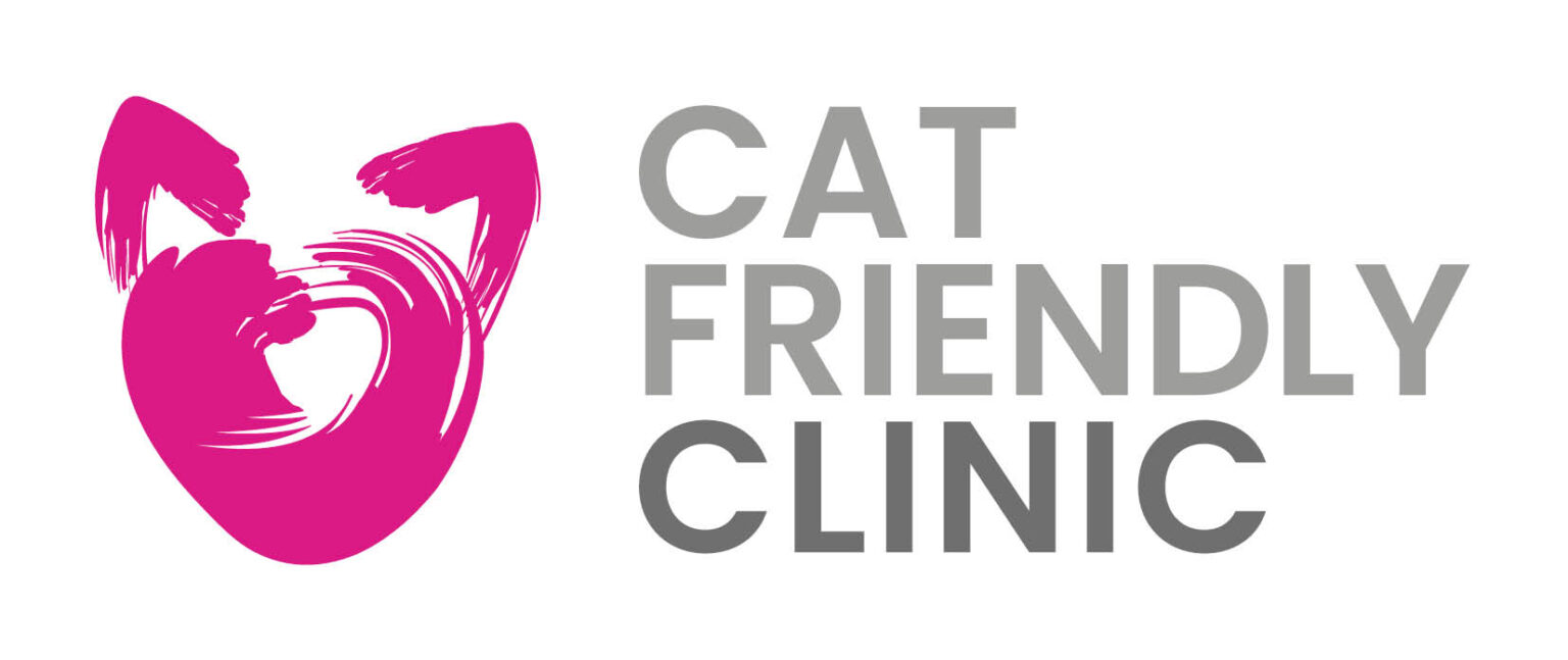 Lancaster Vets | Friendly Pet Care in Lancaster Since 1999